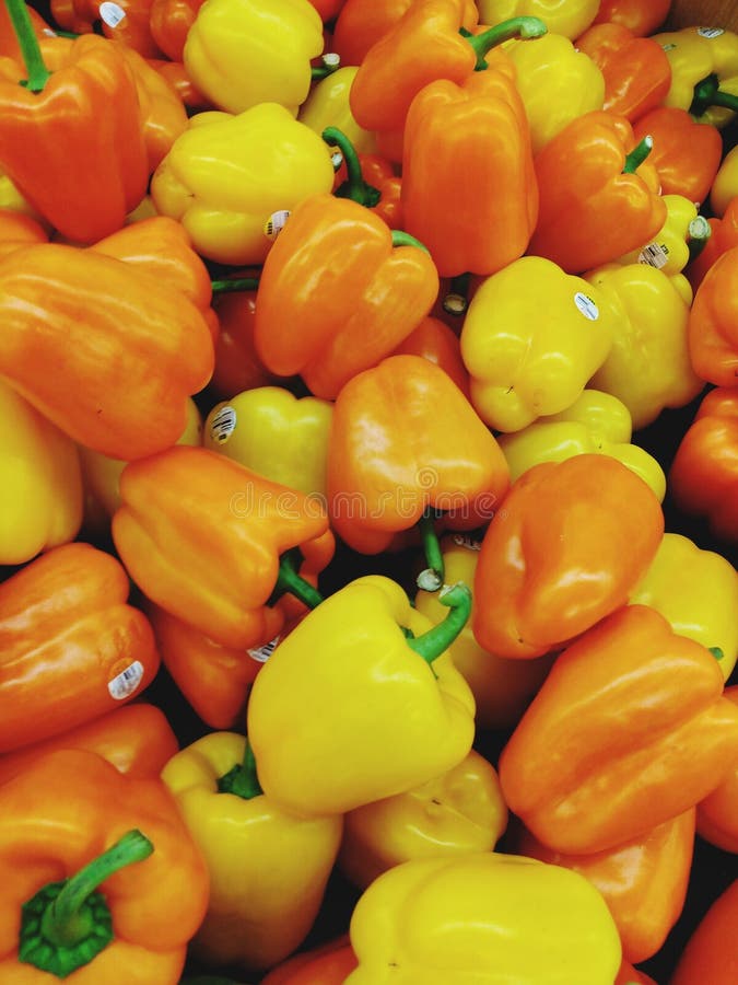 Pepper colors stock photo. Image of famous, pepper, decoration - 254146