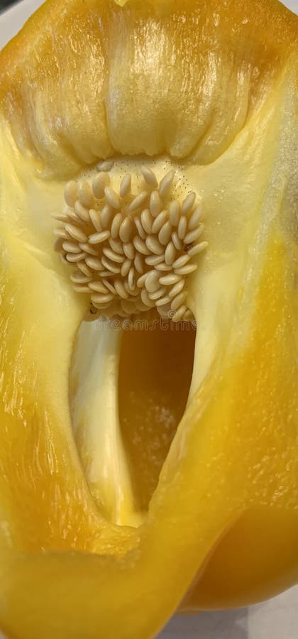 Pepper core seeds stock photo. Image of yellow, veganism - 176607718
