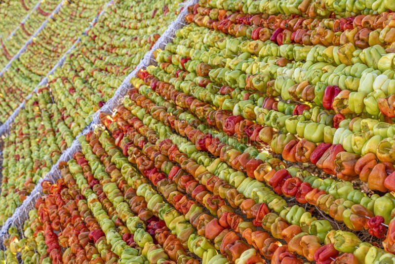 Pepper Drying Involves Drying Green Peppers by Exposing Them To ...