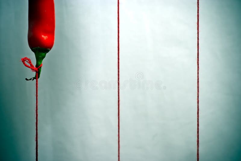 Pepper Flies Like a Balloon on a String Stock Image - Image of ...