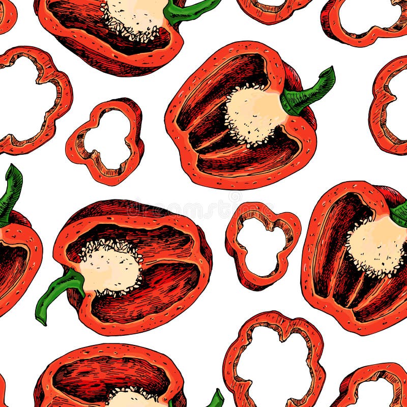 Capsicum Line Drawing Etching Stock Illustrations – 85 Capsicum Line ...