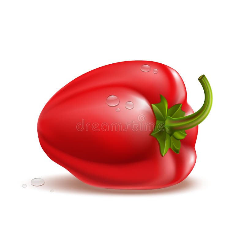 Pepper Design Vector Illustration Stock Vector - Illustration of ripe ...