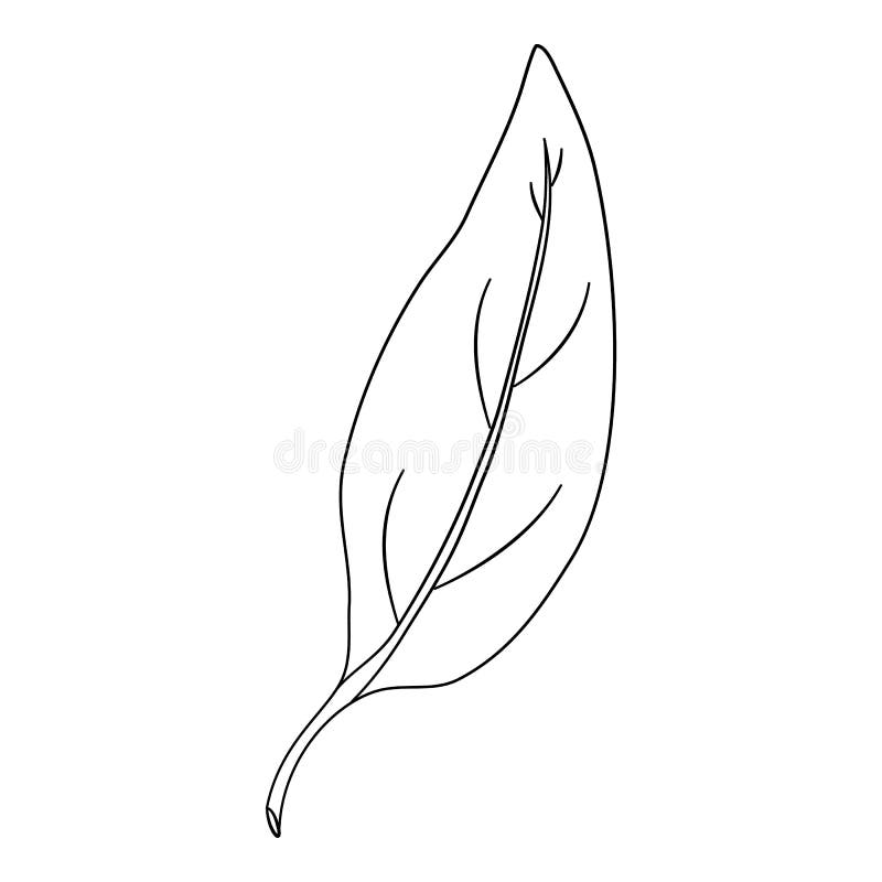 Pepper Leaf Icon Outline, Hand Drawn Vector. Green Spicy Stock Vector ...