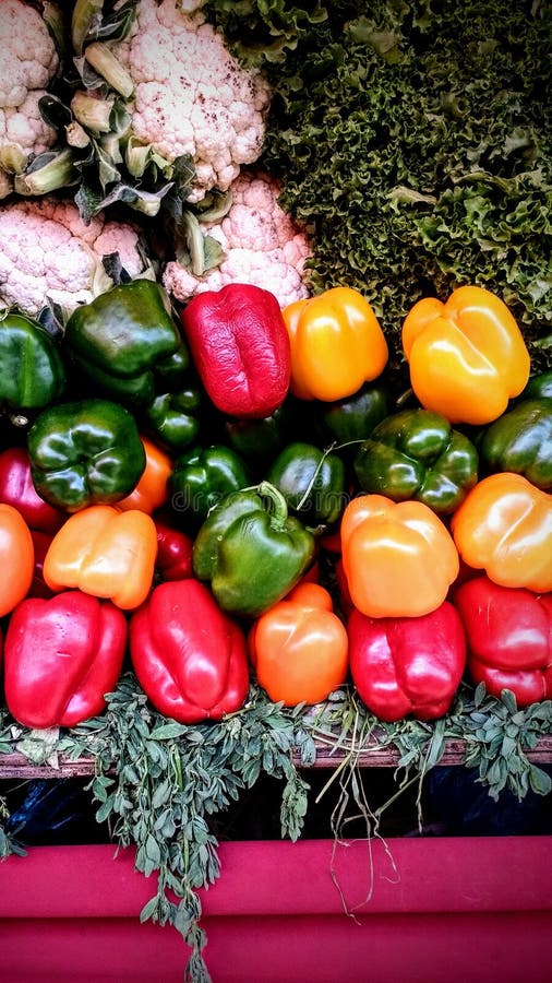 Aji Morron Stock Photos - Free & Royalty-Free Stock Photos from Dreamstime