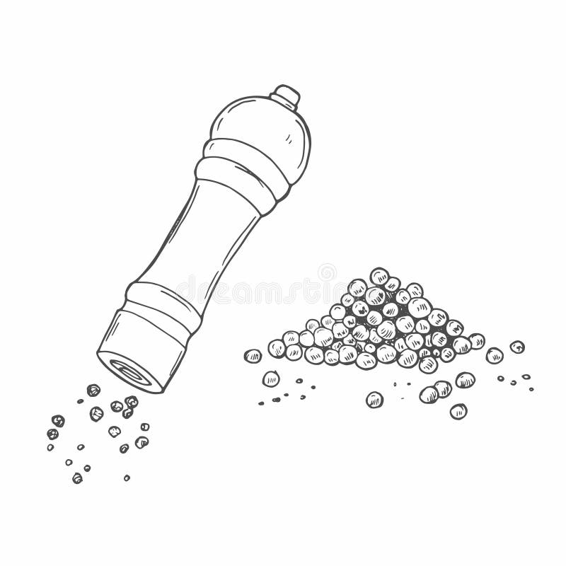 Pepper Mill Vector Drawing. Seasoning and Spice Grinder Sketch. Black ...