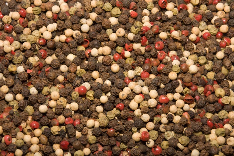 Pepper mix stock photo. Image of pepper, white, flavor - 4996522