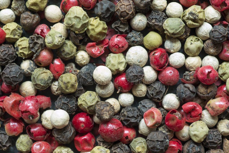 Pepper mix stock photo. Image of spicy, ingredient, organic - 39884282