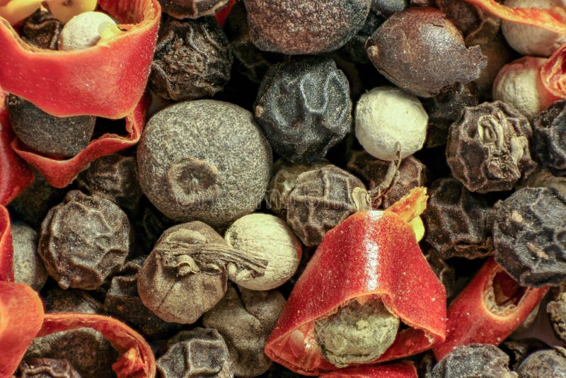 Pepper mix 2 stock photo. Image of cooking, pepper, cookery - 60342418