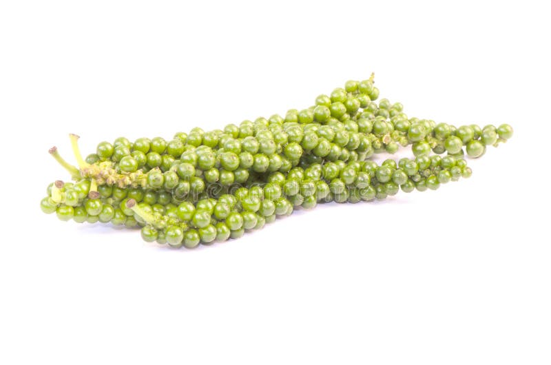 Black Piper (Piper Nigrum Linn ) Stock Photo - Image of driving, bark ...