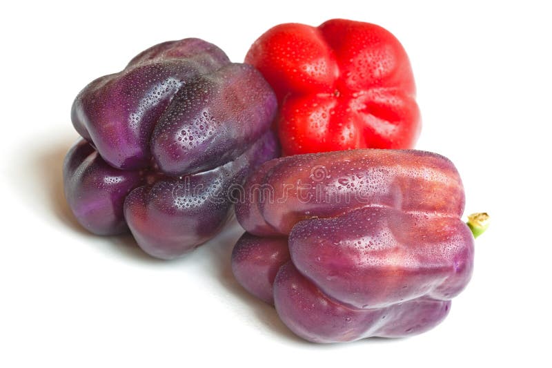 Pepper stock image. Image of annuum, capsicum, purple - 33221861