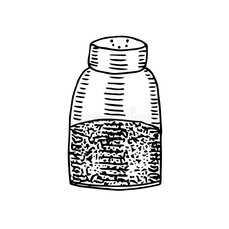 Pepper Shaker Vector Illustration Hand Drawing Sketch Stock Vector ...