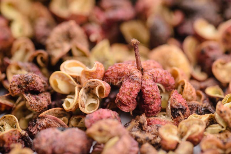 Zanthoxylum Bungeanum Maxim Stock Photos - Free & Royalty-Free Stock ...