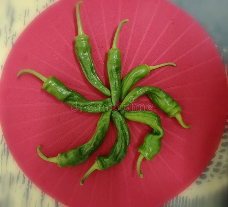 Pepper stock photo. Image of food, organic, circle, gastronomy - 101183022