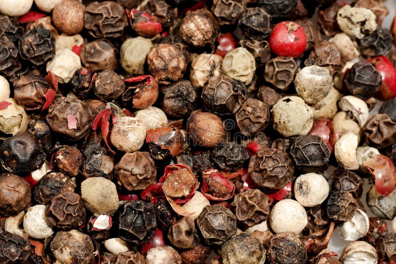 Pepper spice stock photo. Image of food, herbs, science - 8337284
