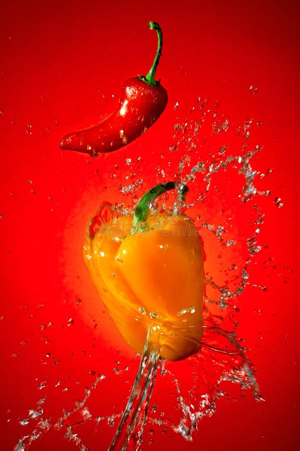 Pepper Splash stock image. Image of ripe, droplets, diet - 23390201
