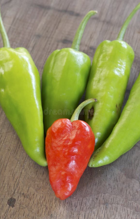 Pepper on table stock image. Image of chilli, market - 37150503
