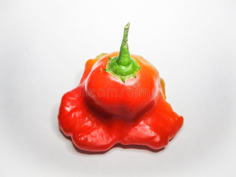 Pepper of Unusual Shape on a White Background. Stock Photo - Image of ...