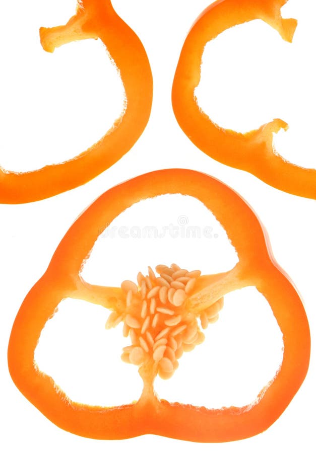 Capsicum slice stock photo. Image of bell, pepper, capsicum - 7395606