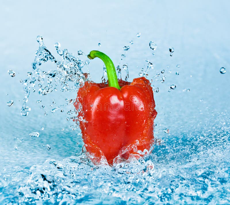 Ice cube and chili peppers stock photo. Image of glass - 28050622