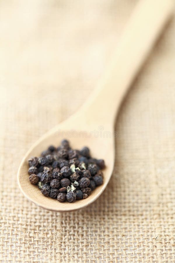 Pepper in wooden spoon stock photo. Image of white, spice - 29784610