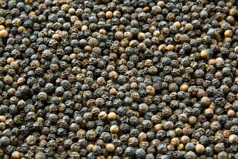 Peppercorn stock image. Image of dried, corn, pepper, epicure - 1641557