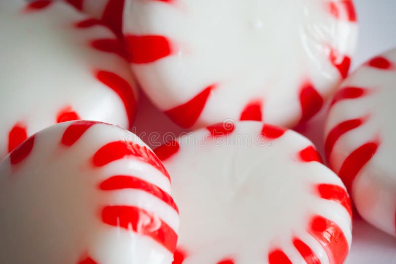 Peppermint stock photo. Image of sweets, stripes, mints - 29649216