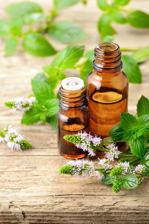 Peppermint Essential Oil and Fresh Peppermint Flowers on the Wooden ...
