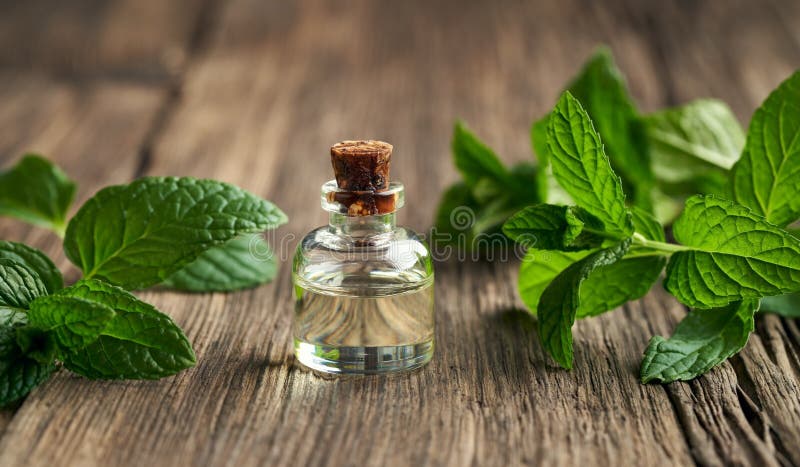 Peppermint Essential Oil on a Wooden Table Stock Image - Image of plant ...