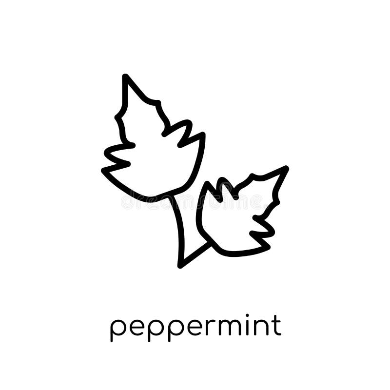 Peppermint Icon. Trendy Modern Flat Linear Vector Peppermint Icon on ...