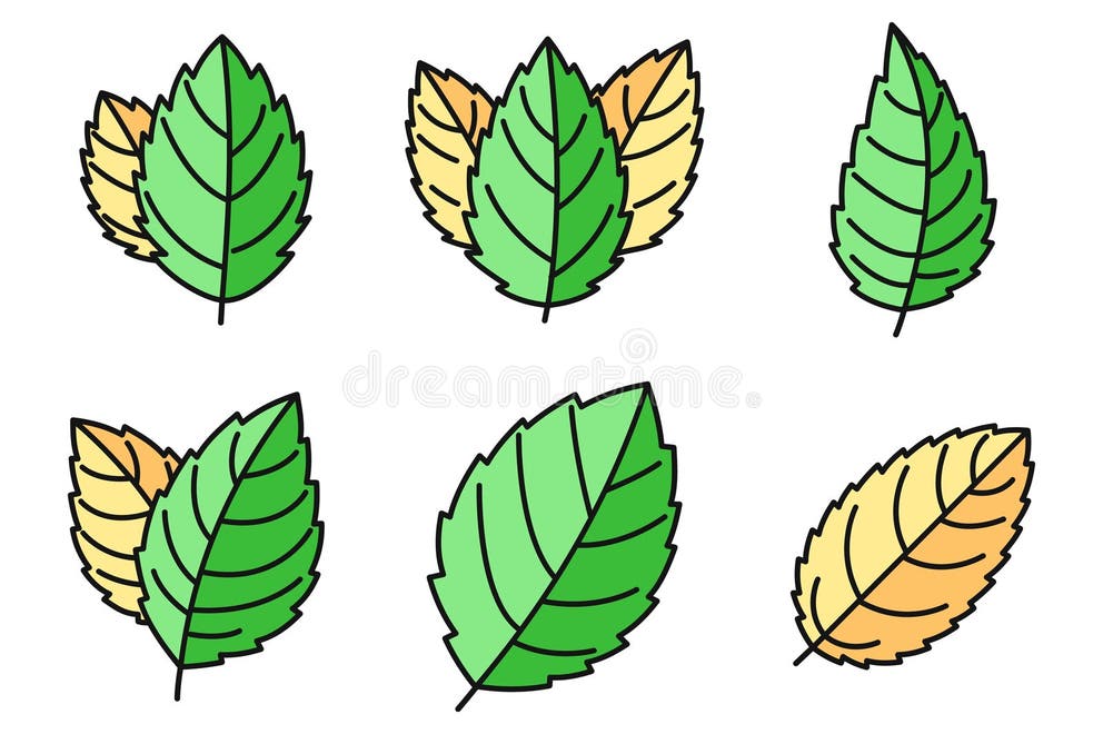 Peppermint Icons Set Vector Color Stock Illustration - Illustration of ...