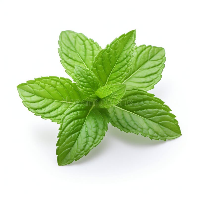 Peppermint Isolated on White Background. Generative Ai Stock ...