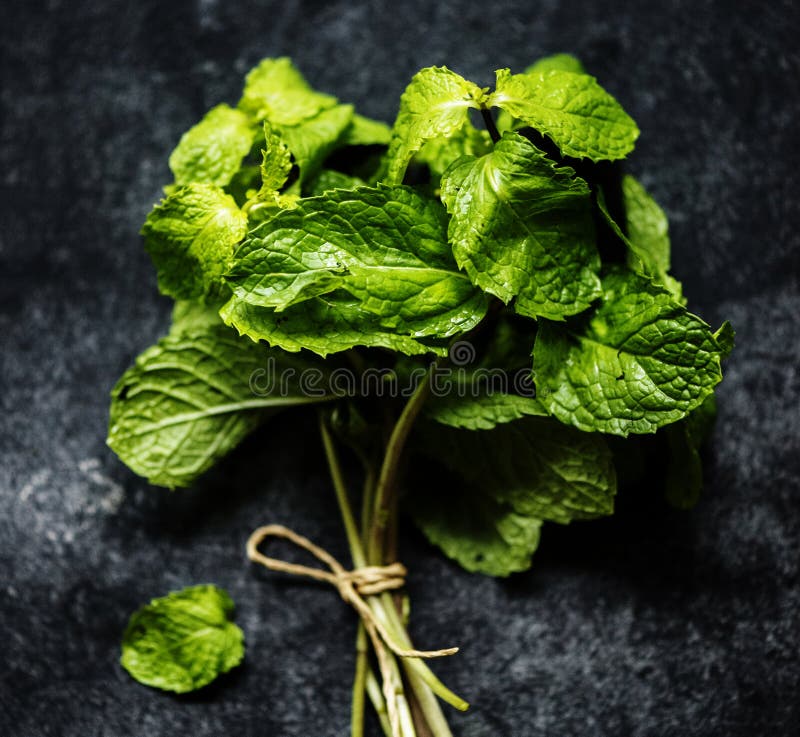 Peppermint Leaves Cooking Herb Stock Photo - Image of plant, peppermint ...