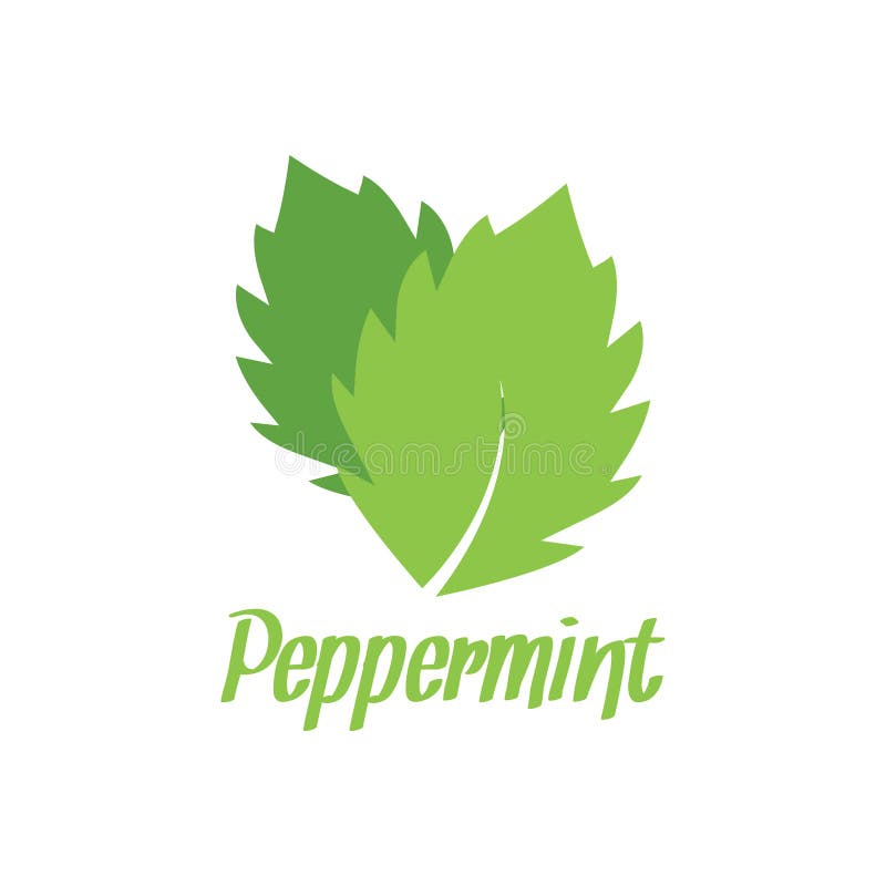 Peppermint Logo Design Inspiration Stock Vector - Illustration of leaf ...