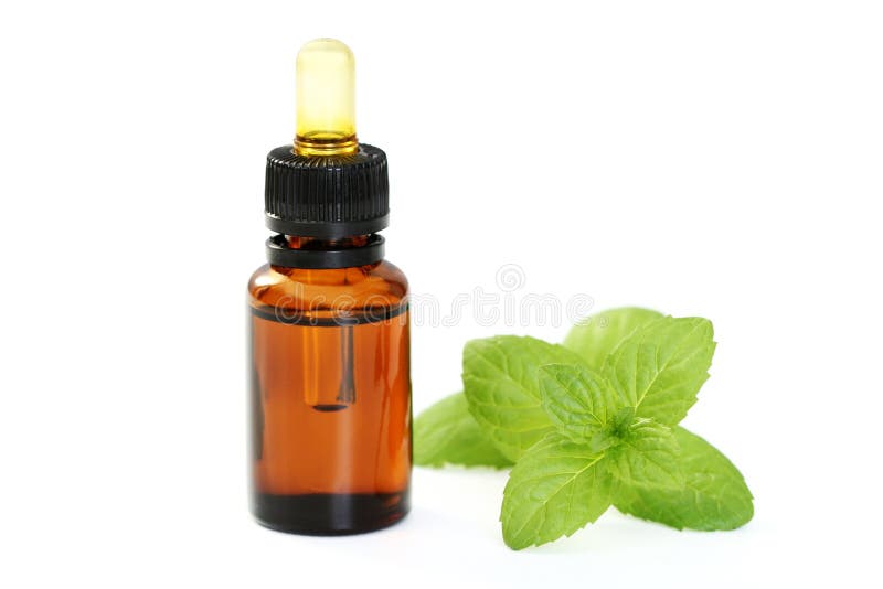 Peppermint oil stock image. Image of peppermint, mint - 8652211