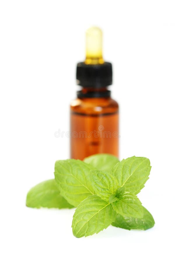 Peppermint oil stock image. Image of peppermint, mint - 8652211