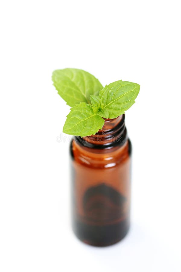 Peppermint oil stock image. Image of peppermint, mint - 8652211