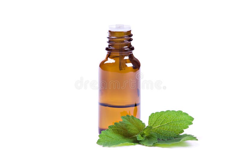 Peppermint oil stock image. Image of peppermint, mint - 8652211