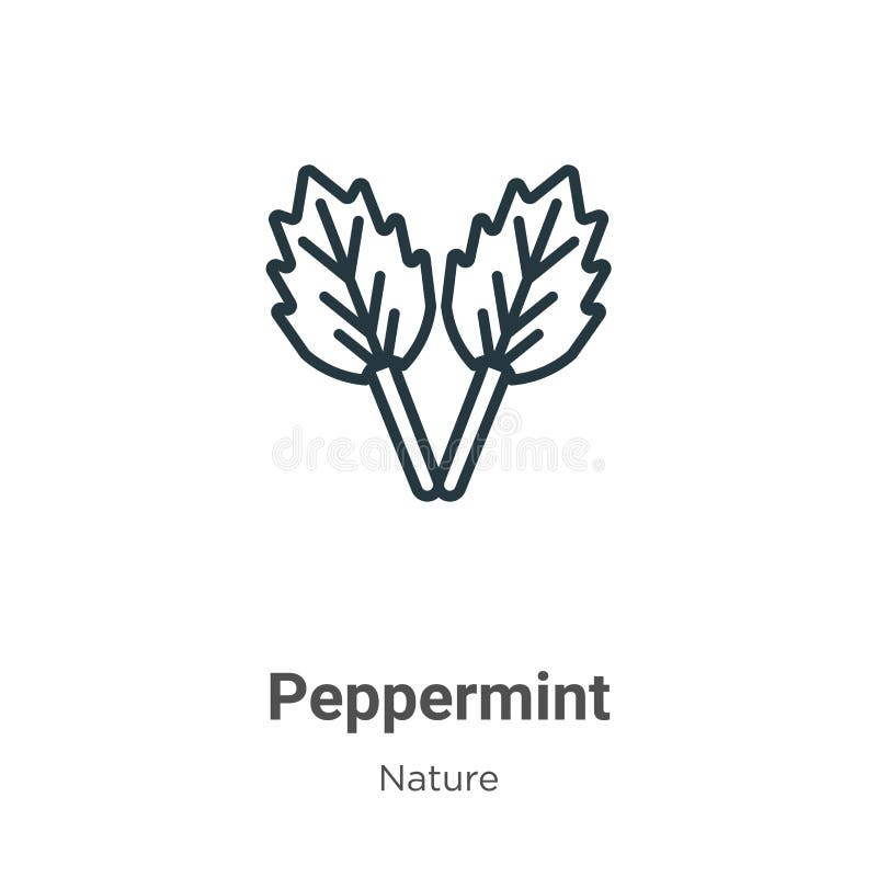 Outline Peppermint Vector Icon. Isolated Black Simple Line Element Illustration From Nature ...