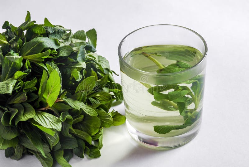 Peppermint tea in a glass stock photo. Image of fresh - 110991182