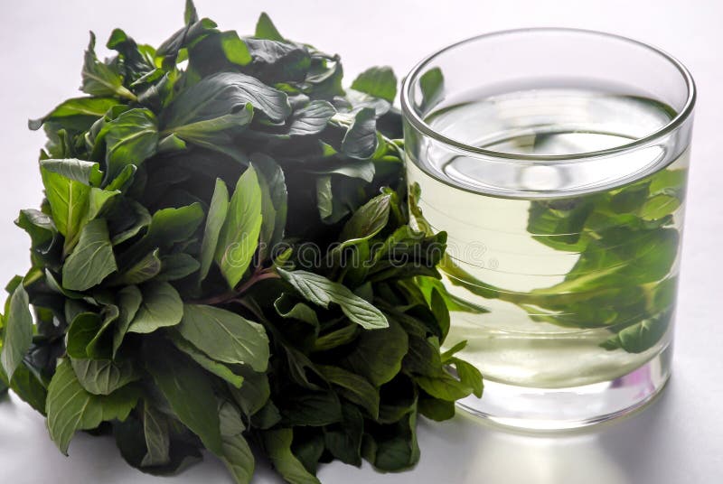 Peppermint tea in a glass stock photo. Image of lemon - 110991204