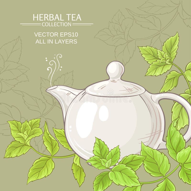 Peppermint Stock Illustrations – 8,424 Peppermint Stock Illustrations ...