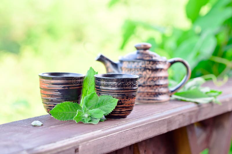 Peppermint tea stock image. Image of branch, ceramic - 42308015