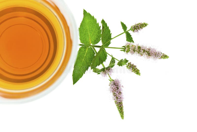 Peppermint tea top view stock image. Image of glass, india - 21237825