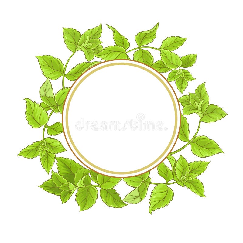 Peppermint Frame Stock Illustrations – 936 Peppermint Frame Stock ...