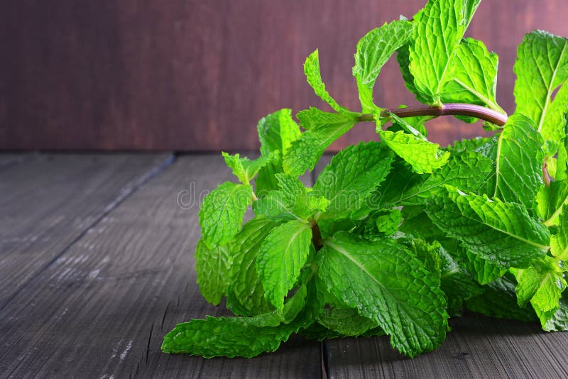 Peppermint on Wooden Table. Stock Image - Image of closeup, healthy ...