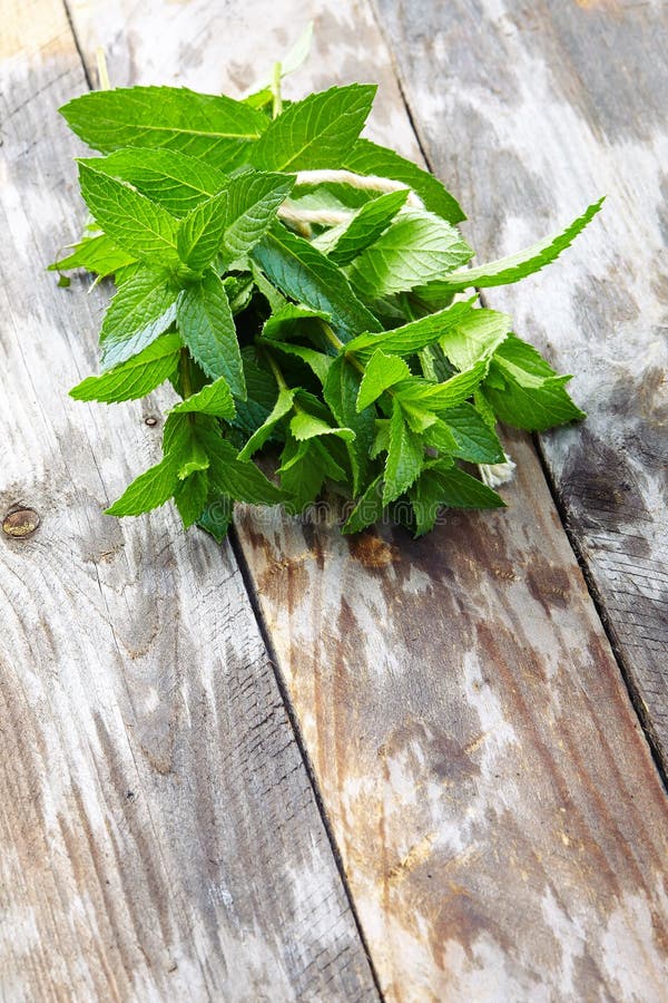 Peppermint on wooden table stock photo. Image of flora - 50656038