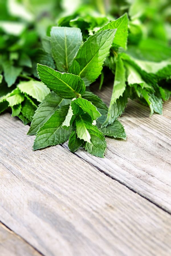 Peppermint on wooden table stock photo. Image of menthol - 67147924