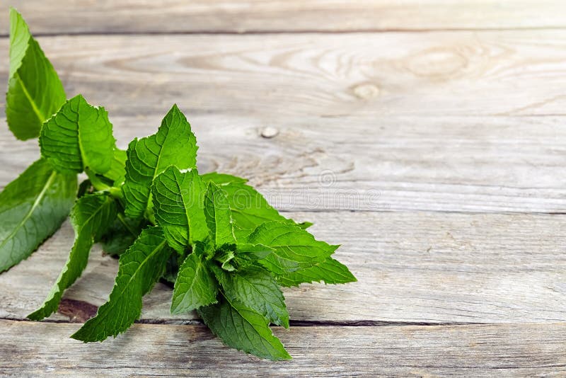 Peppermint on wooden table stock photo. Image of macro - 67207490