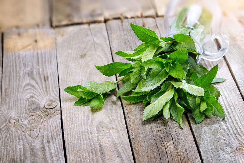 Peppermint on wooden table stock image. Image of flavor - 67209857