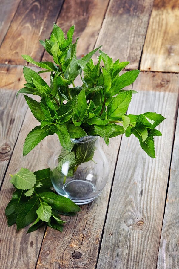 Peppermint on wooden table stock image. Image of detail - 72192165